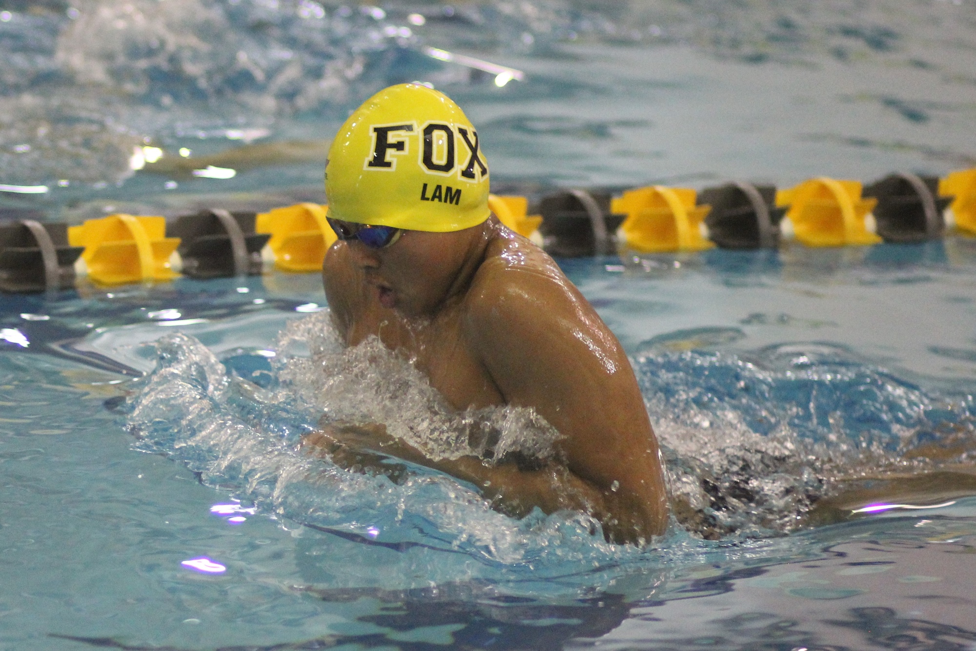 Fox Valley Swim Team Home