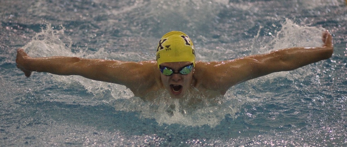 Fox Valley Swim Team Home